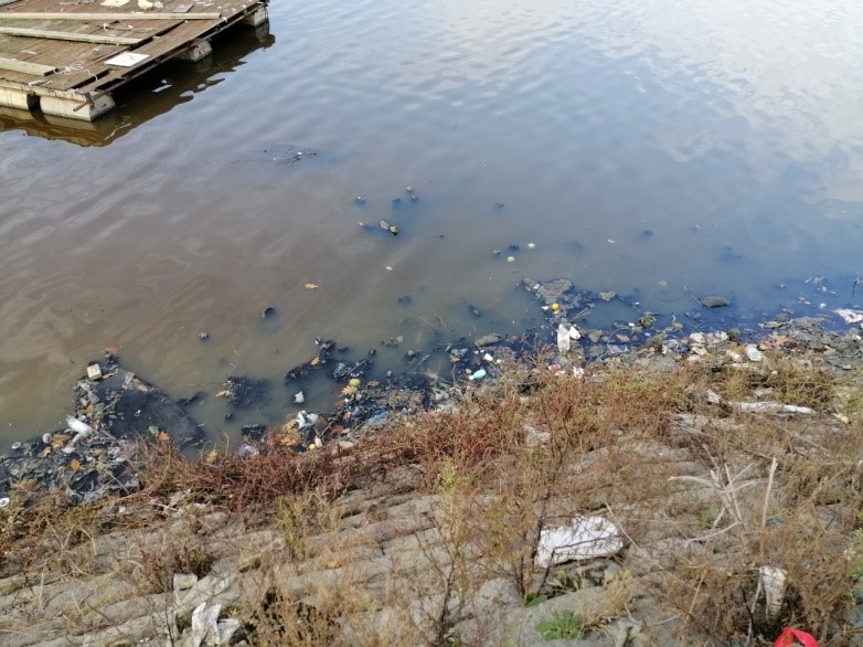 NARODNA STRANKA: Preti nova katastrofa, vlast ne ume da reši smrad u ...